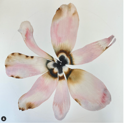 Untitled – SHOWstudio