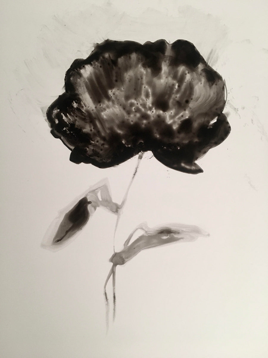 Flowers 5 – SHOWstudio