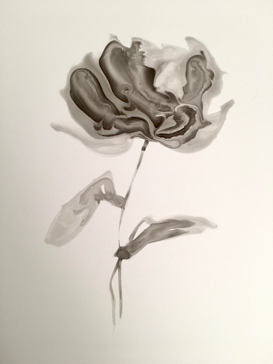 Flowers 4 – SHOWstudio