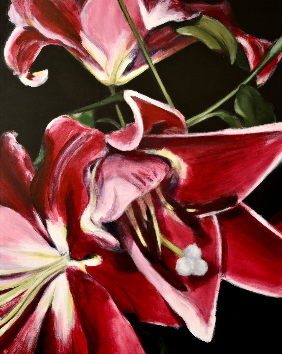 Lily in the Dark – SHOWstudio