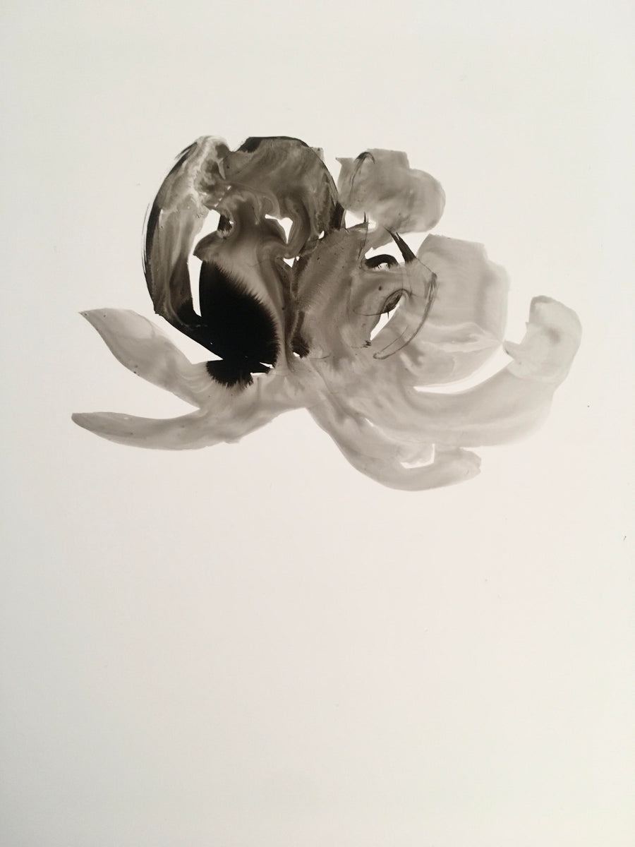 Flowers 1 – SHOWstudio