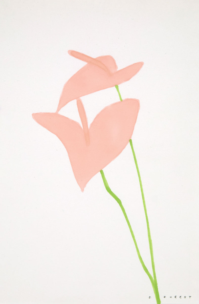 Flower 9 – SHOWstudio