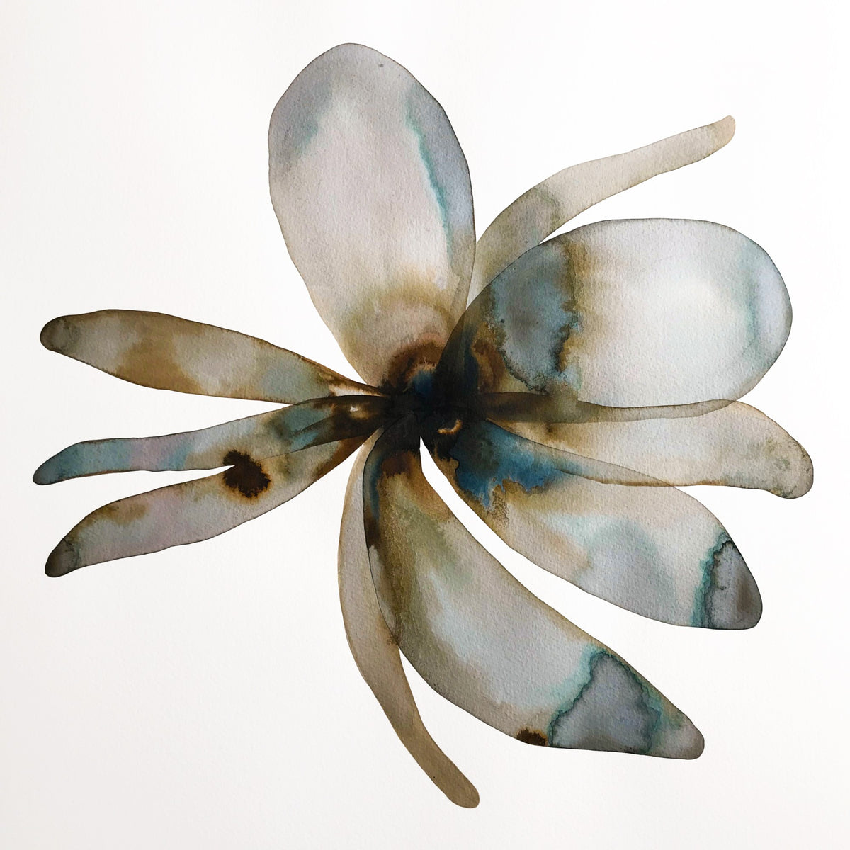 Blue Stone III – SHOWstudio