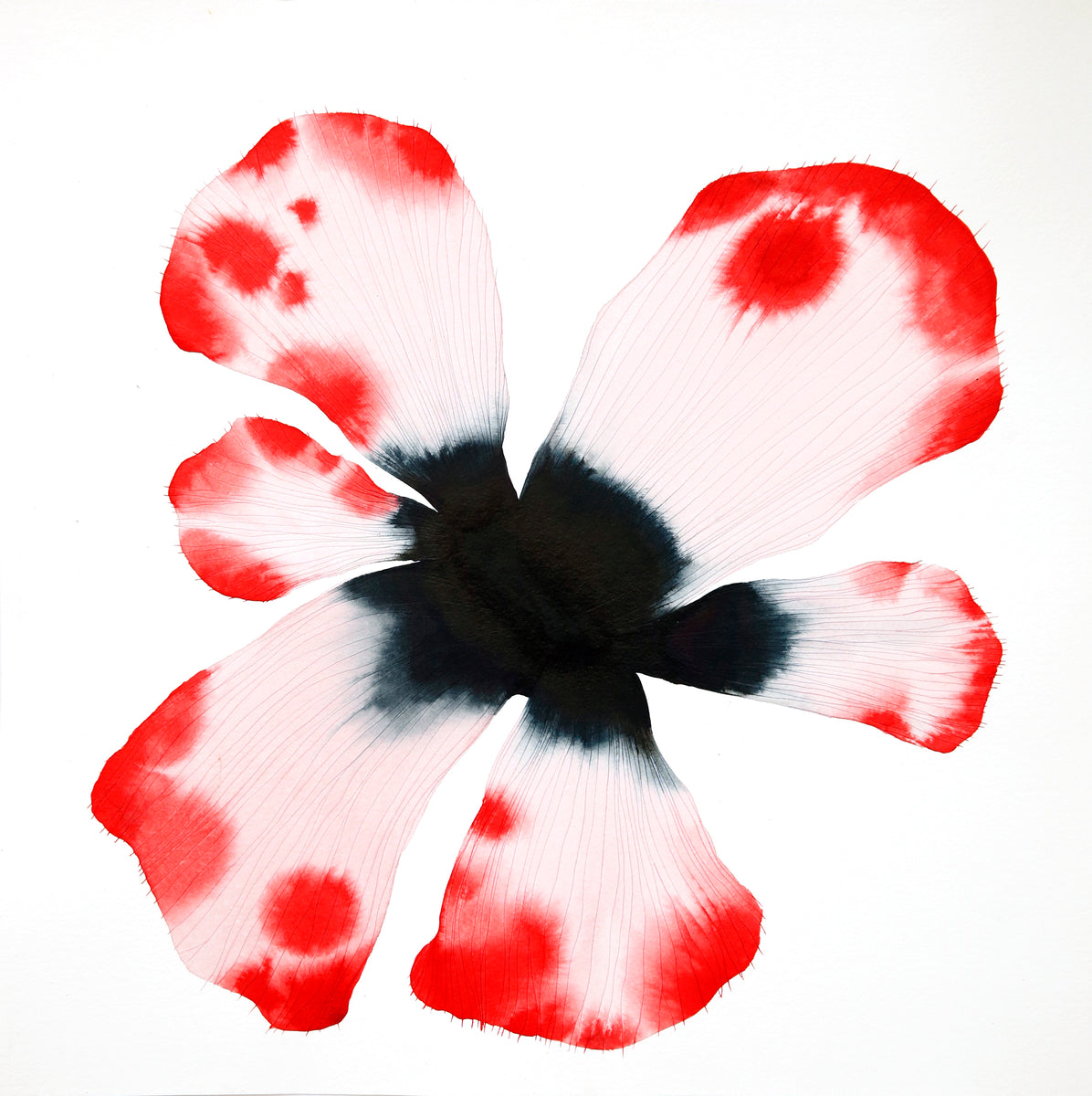 Large Red – SHOWstudio