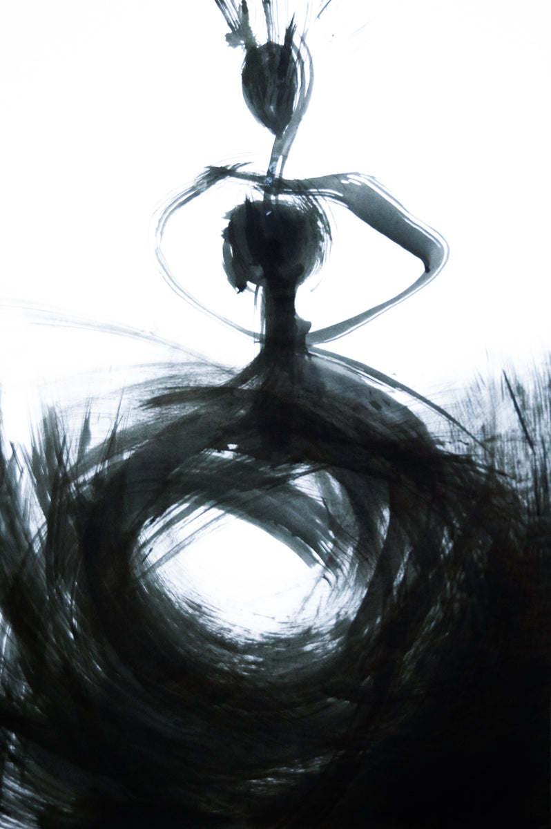 Nightlight III – SHOWstudio