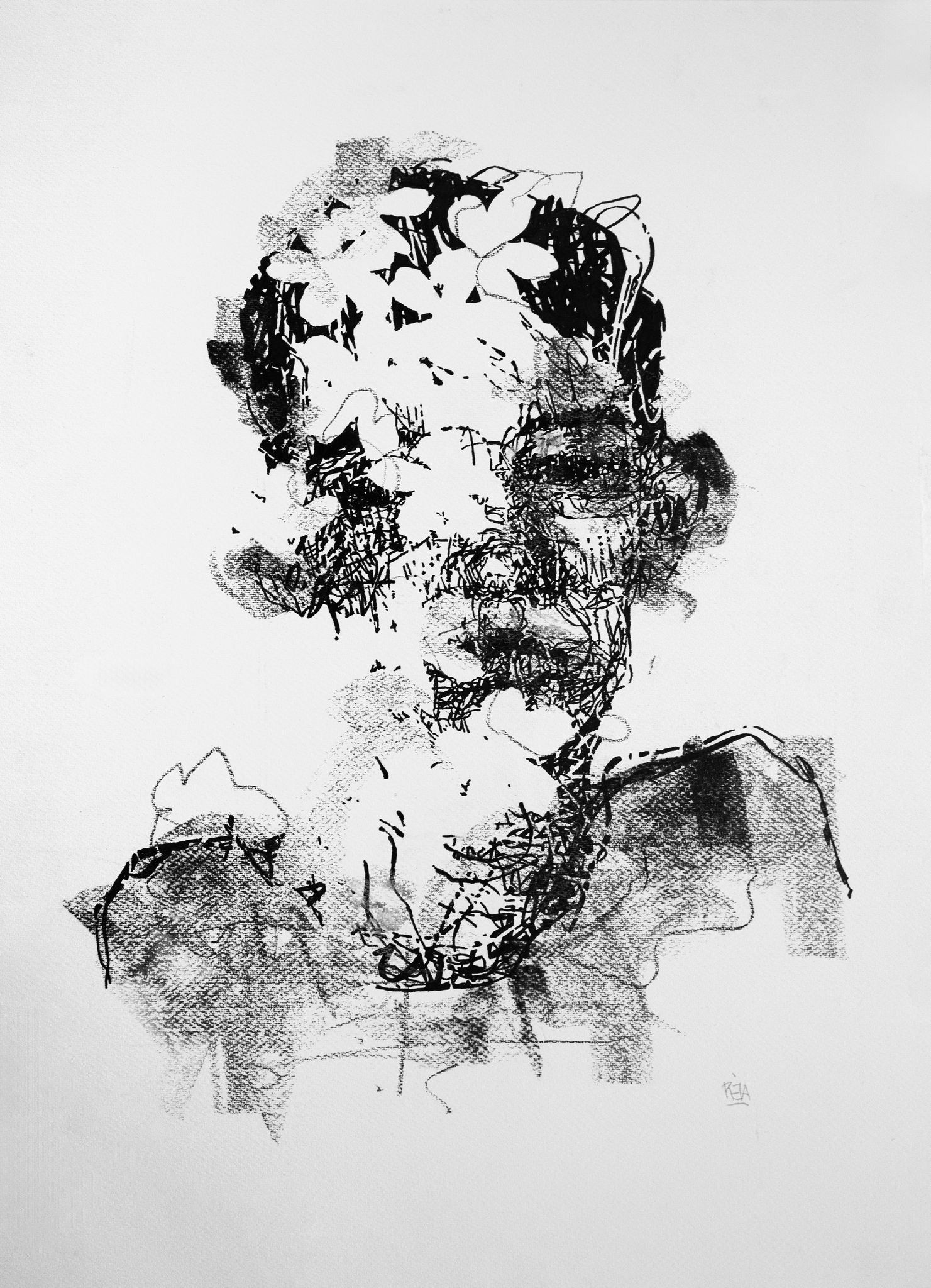 Flowers from my black and white garden 1 – SHOWstudio