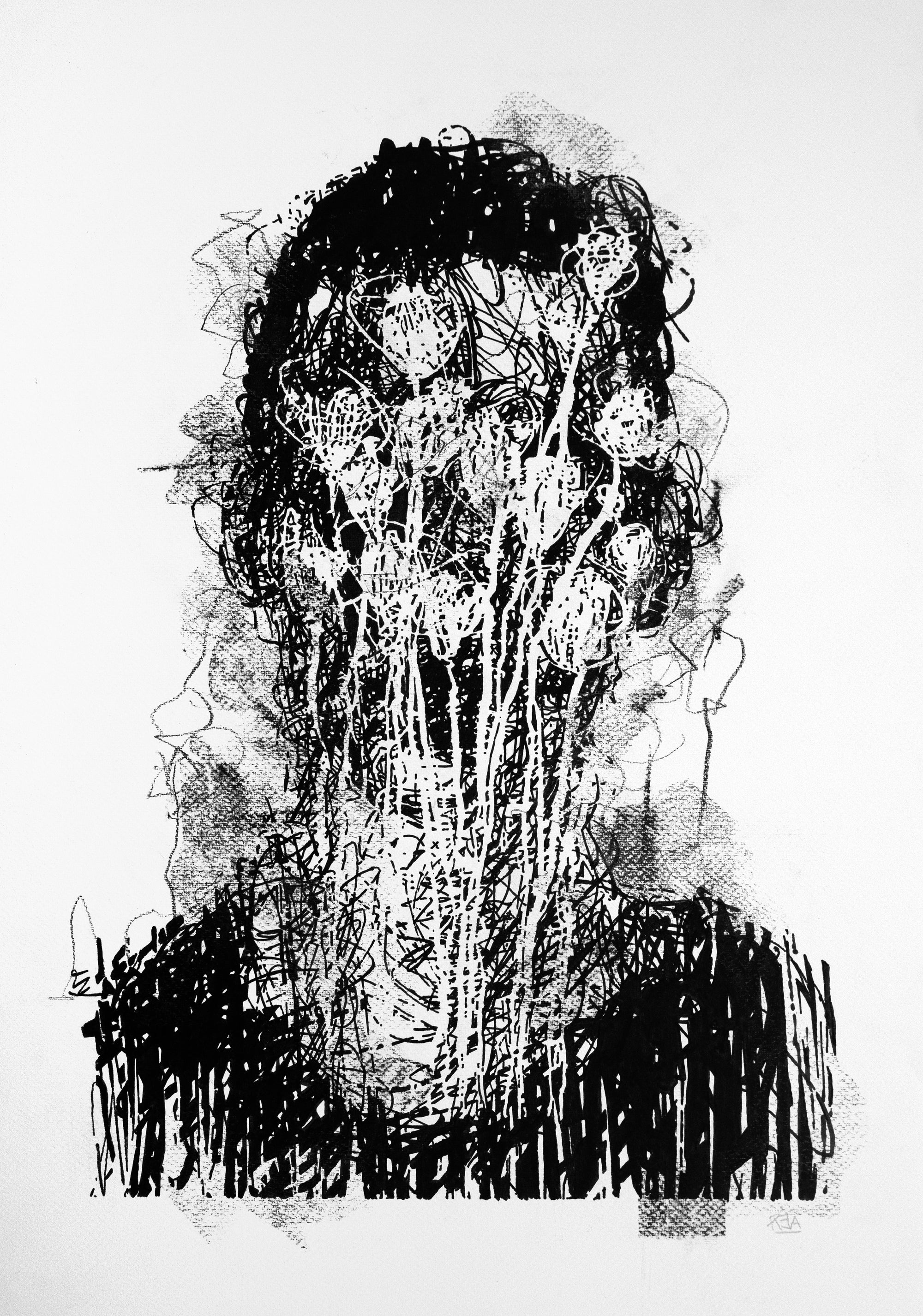 Flowers from my black and white garden 3 – SHOWstudio