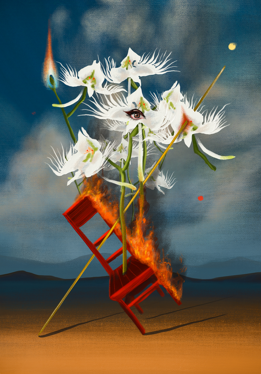 Untitled – SHOWstudio