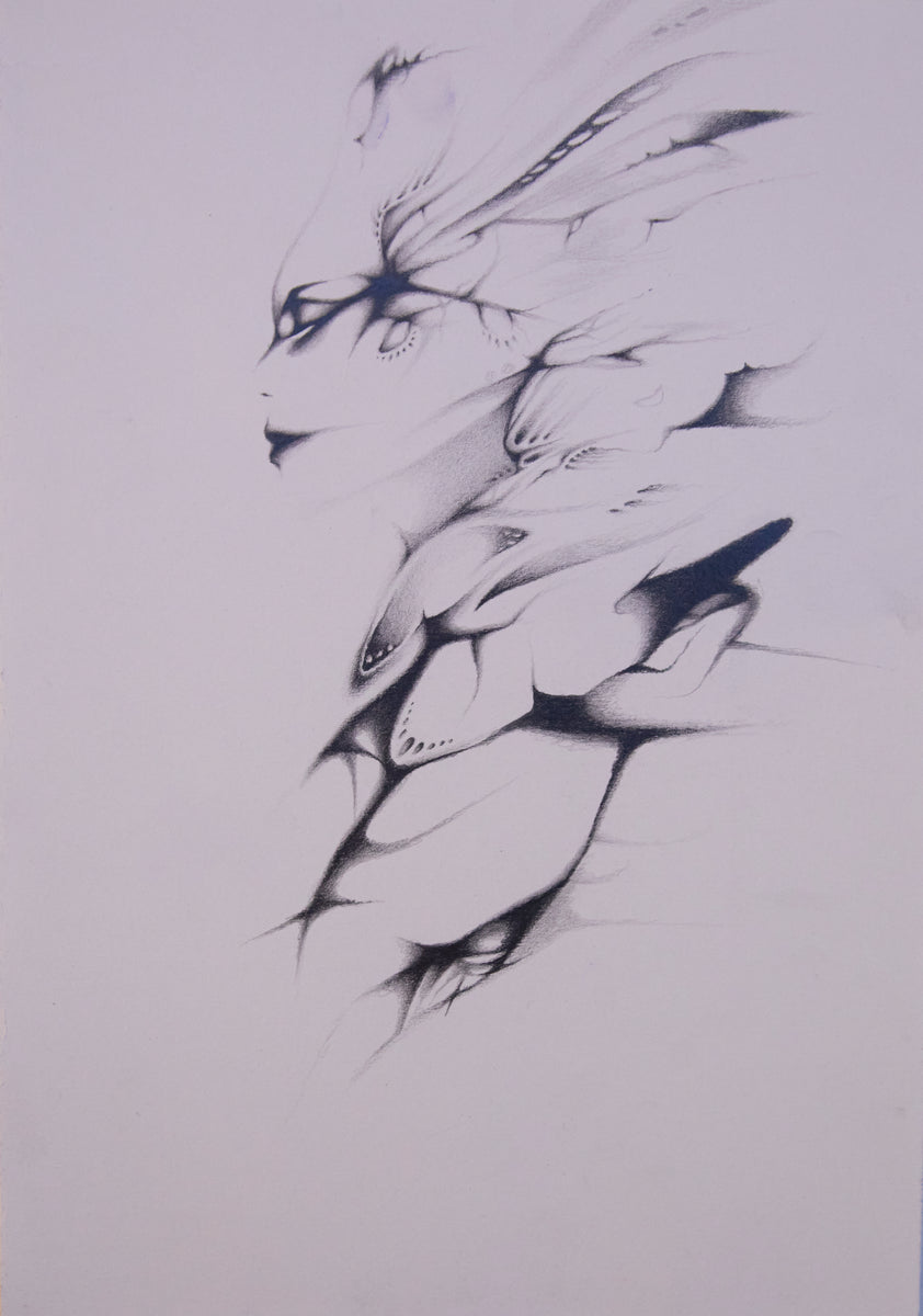 Untitled – SHOWstudio