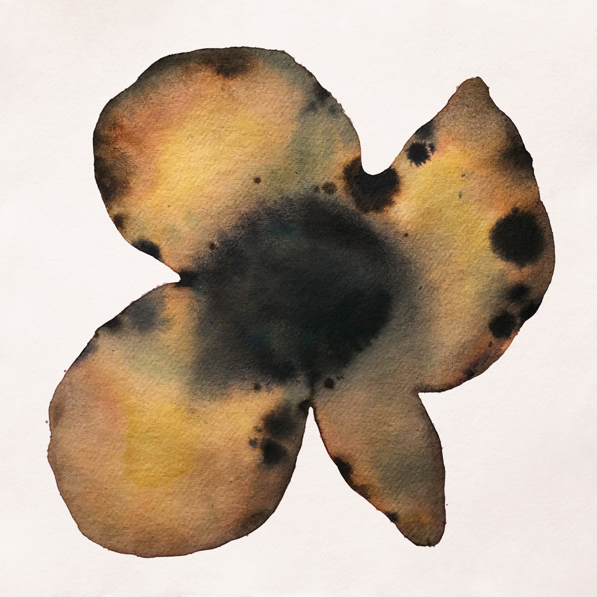 Yellow Flower – SHOWstudio