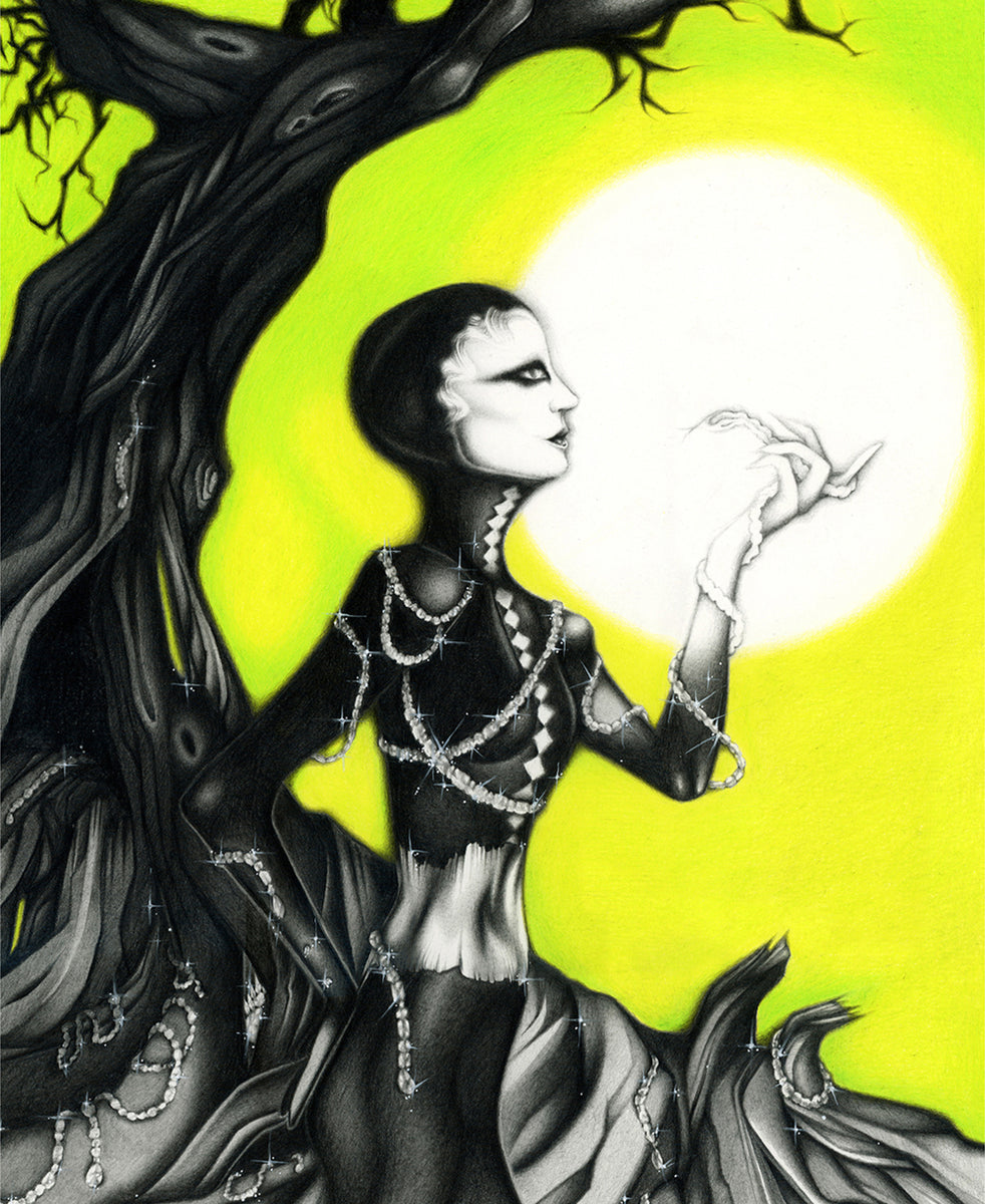 Serpent Serenade – SHOWstudio