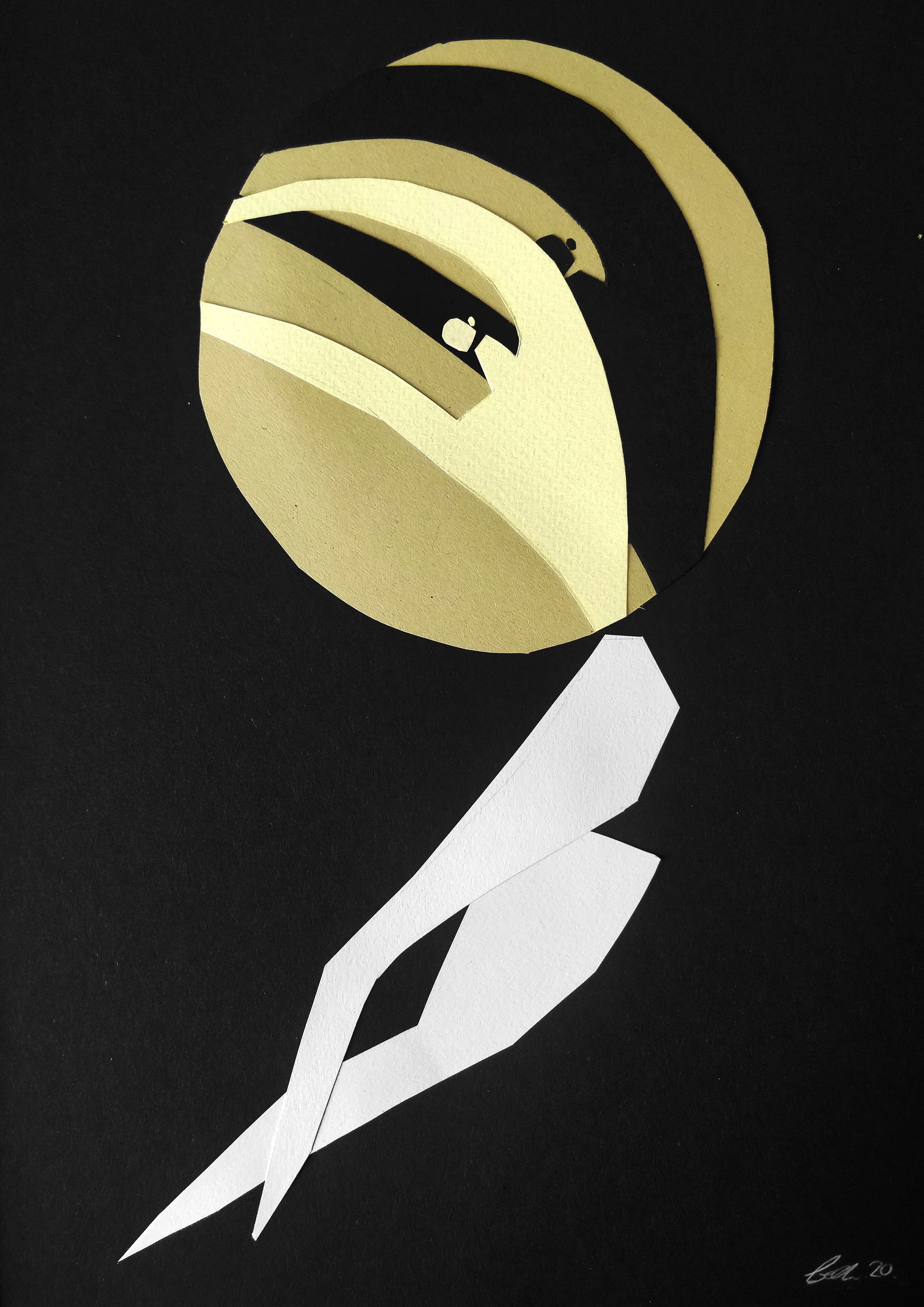 Torus II – SHOWstudio