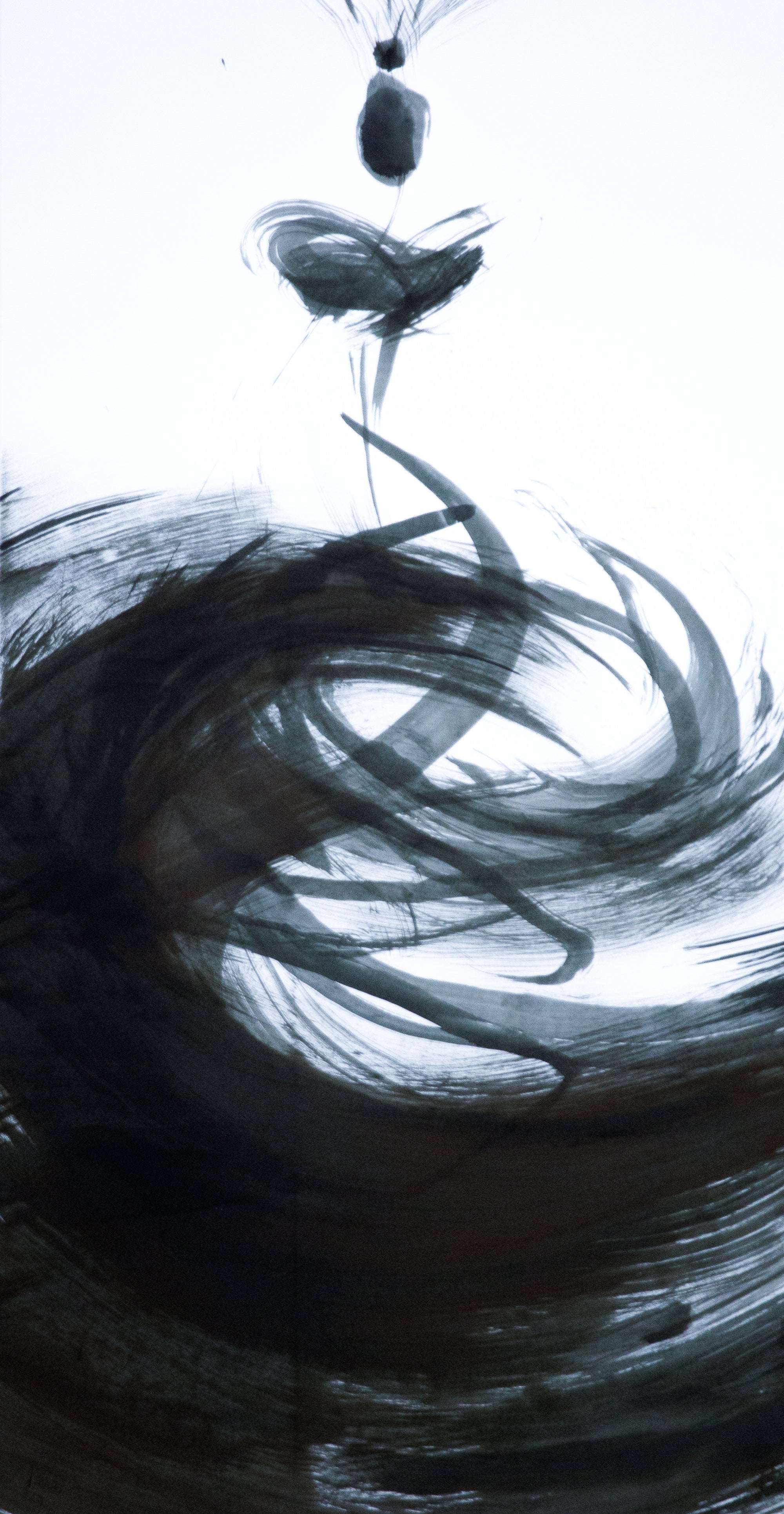 Nightlight IV – SHOWstudio