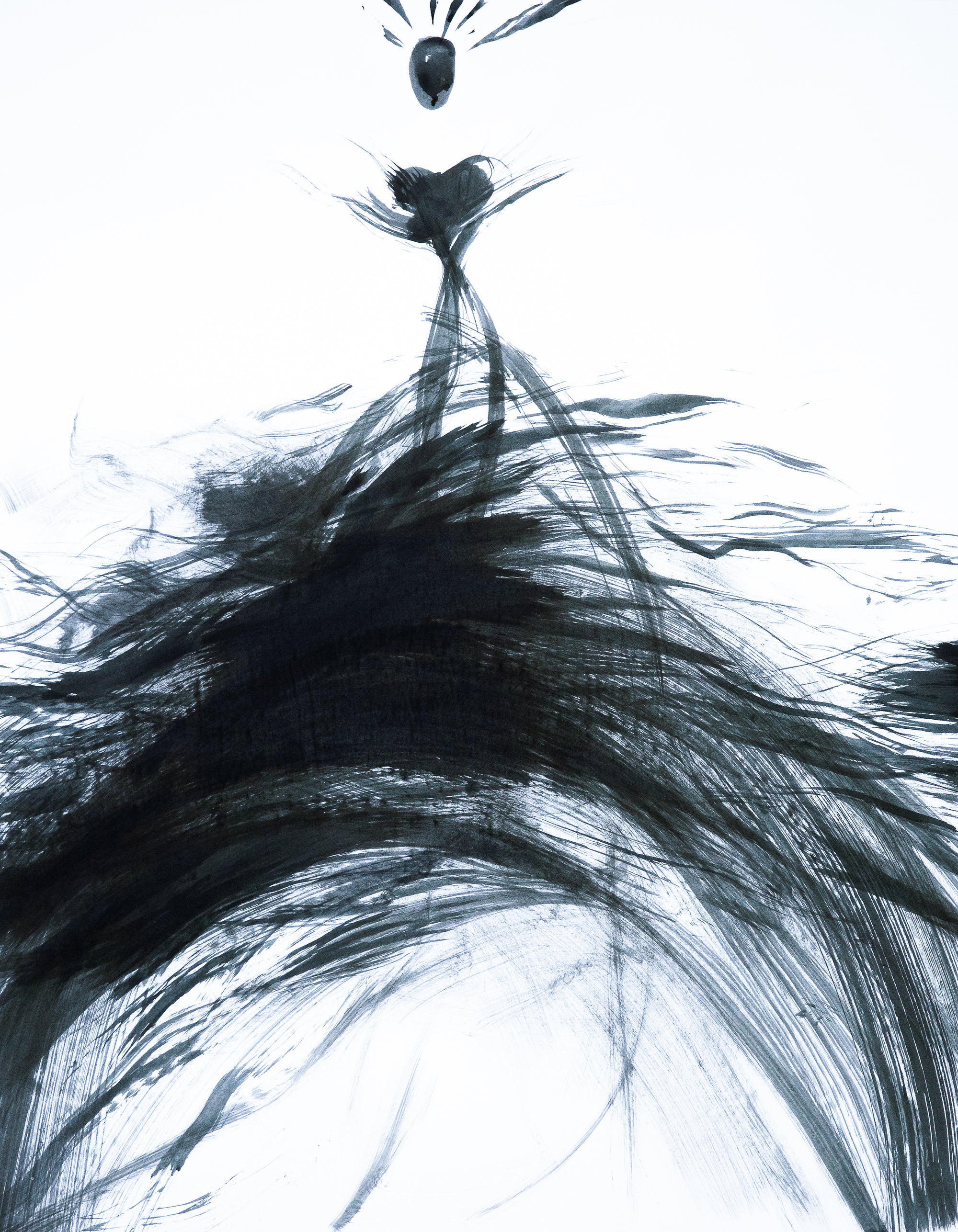 Nightlight VI – SHOWstudio