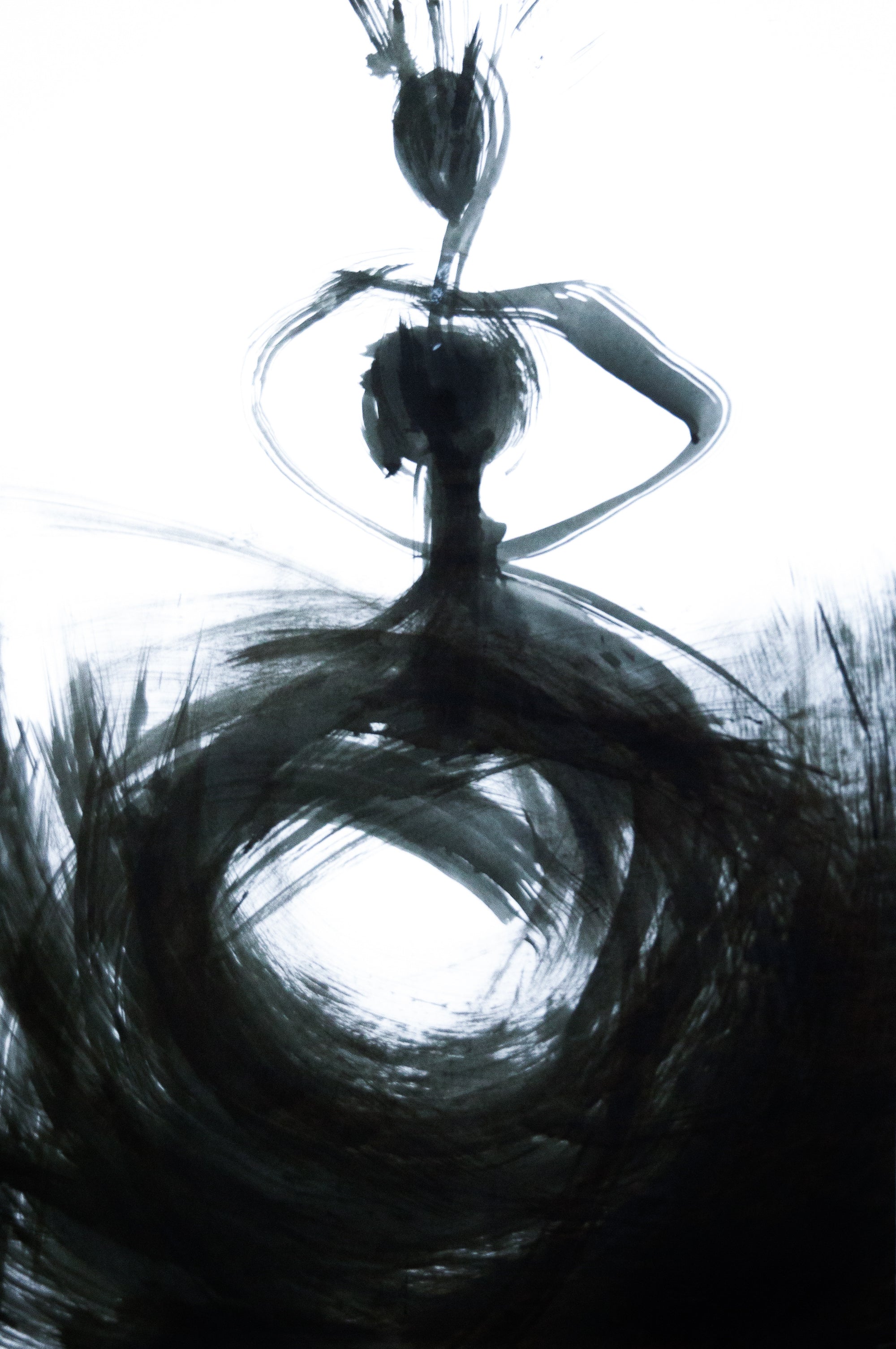 Nightlight III – SHOWstudio